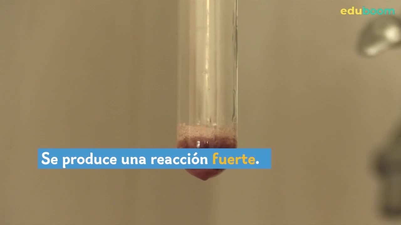 Interacción del fenol con el sodio. Física y Química 2º secundaria