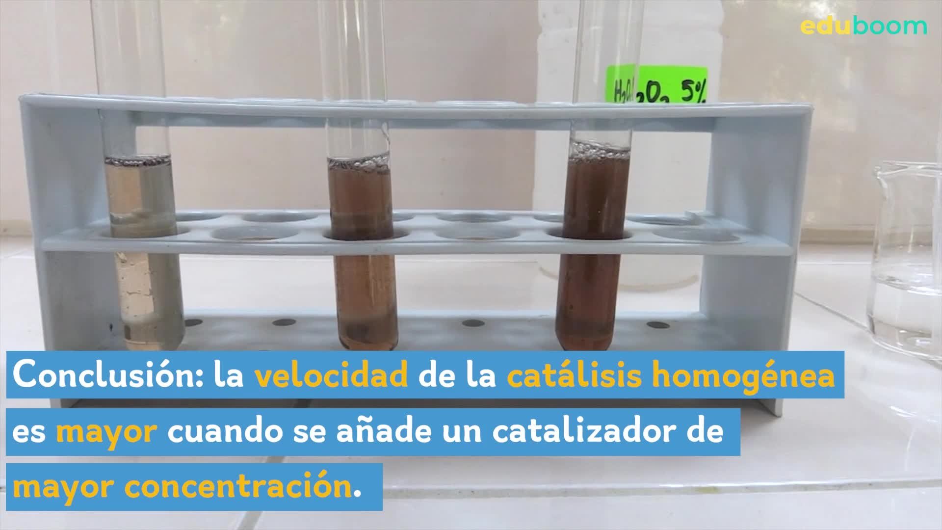 Dependencia de la catálisis homogénea de la concentración del ...