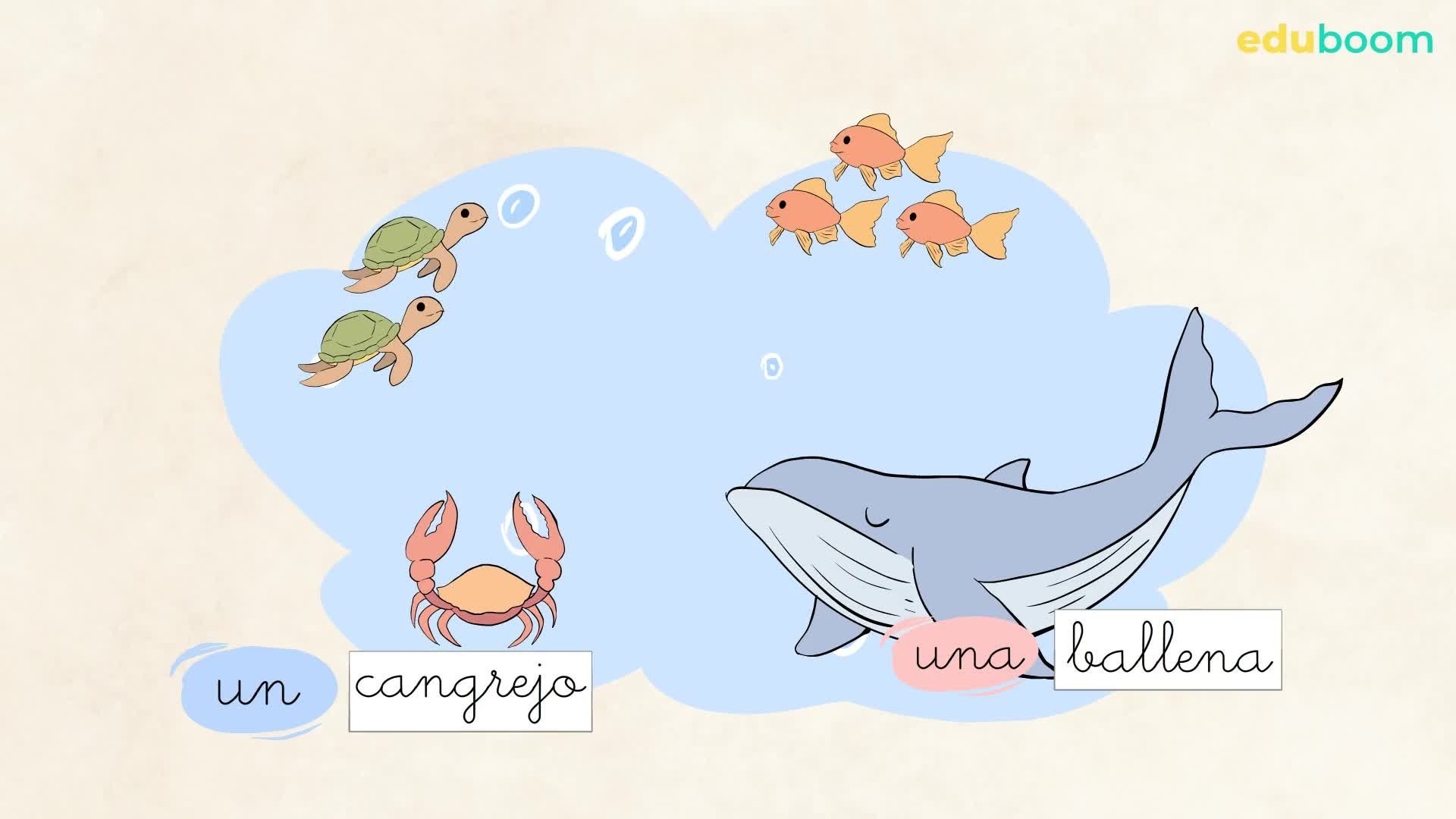 Un, una, unos, unas. Lengua Castellana y Literatura 1º Primaria