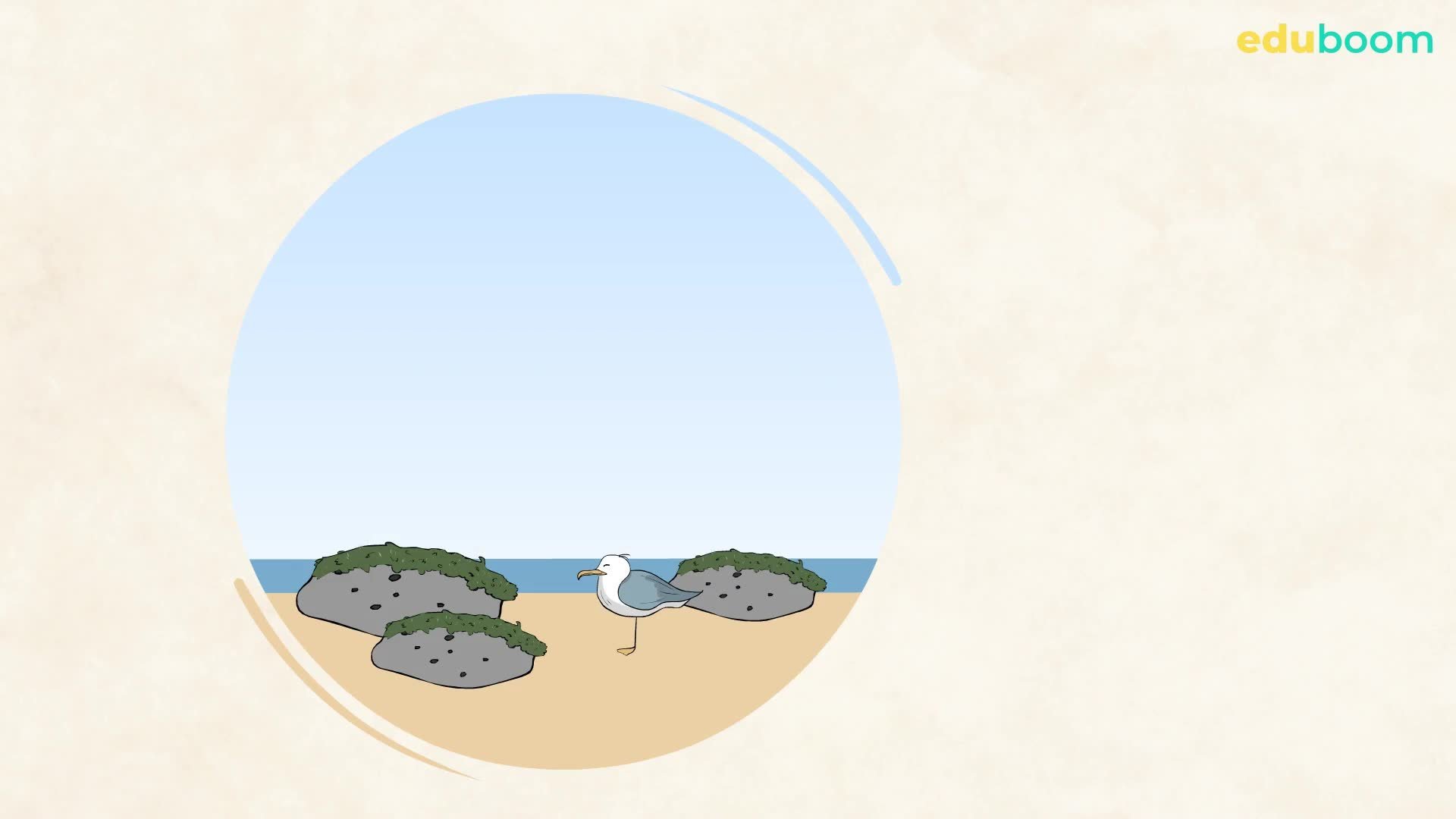 Seres vivos e inertes. Clasificación. Ciencias de la naturaleza 4 primaria