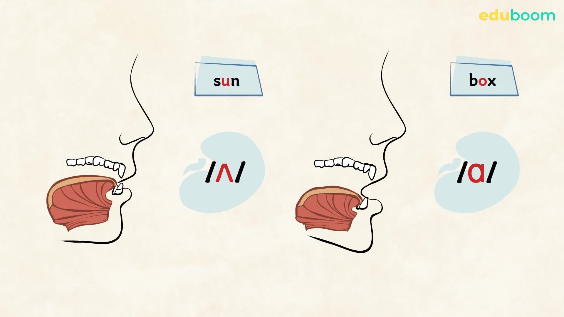 Pronunciation: /ɑ/and /ɔ/. Inglés en inglés nivel A0