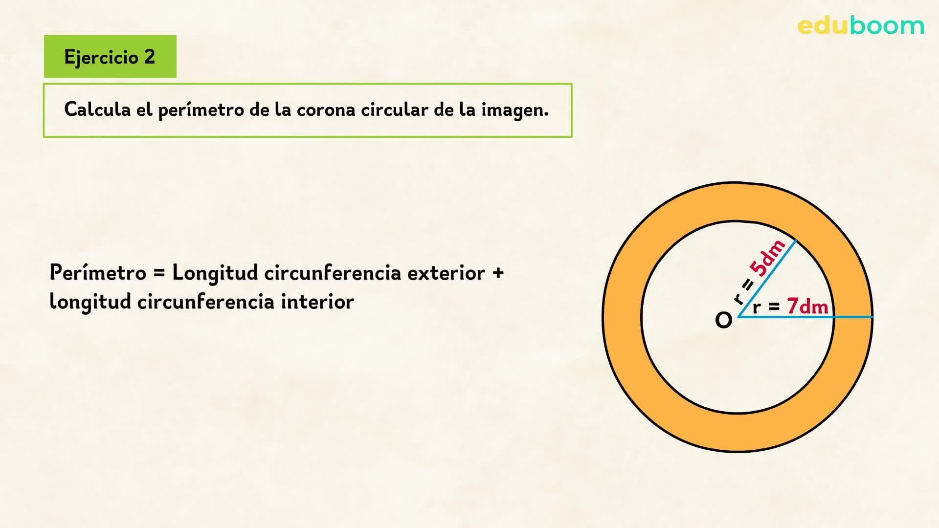 Formas Circulares En La Naturaleza Conjuntos , Representaciones