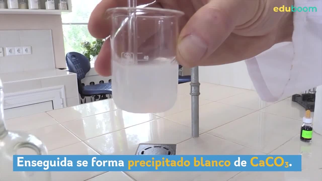 Convertir el agua de cal clara en turbia con CO₂. Física y Química 4º ...