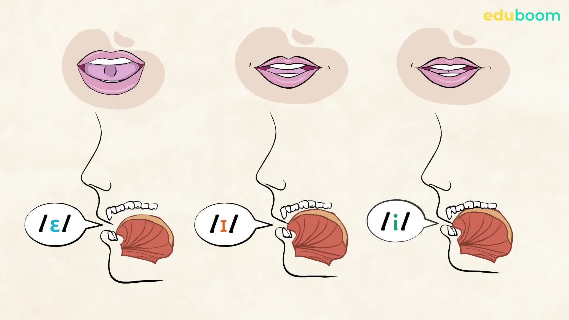 Pronunciation: /i/, /ɪ/, /ɛ/. Inglés en inglés nivel A0