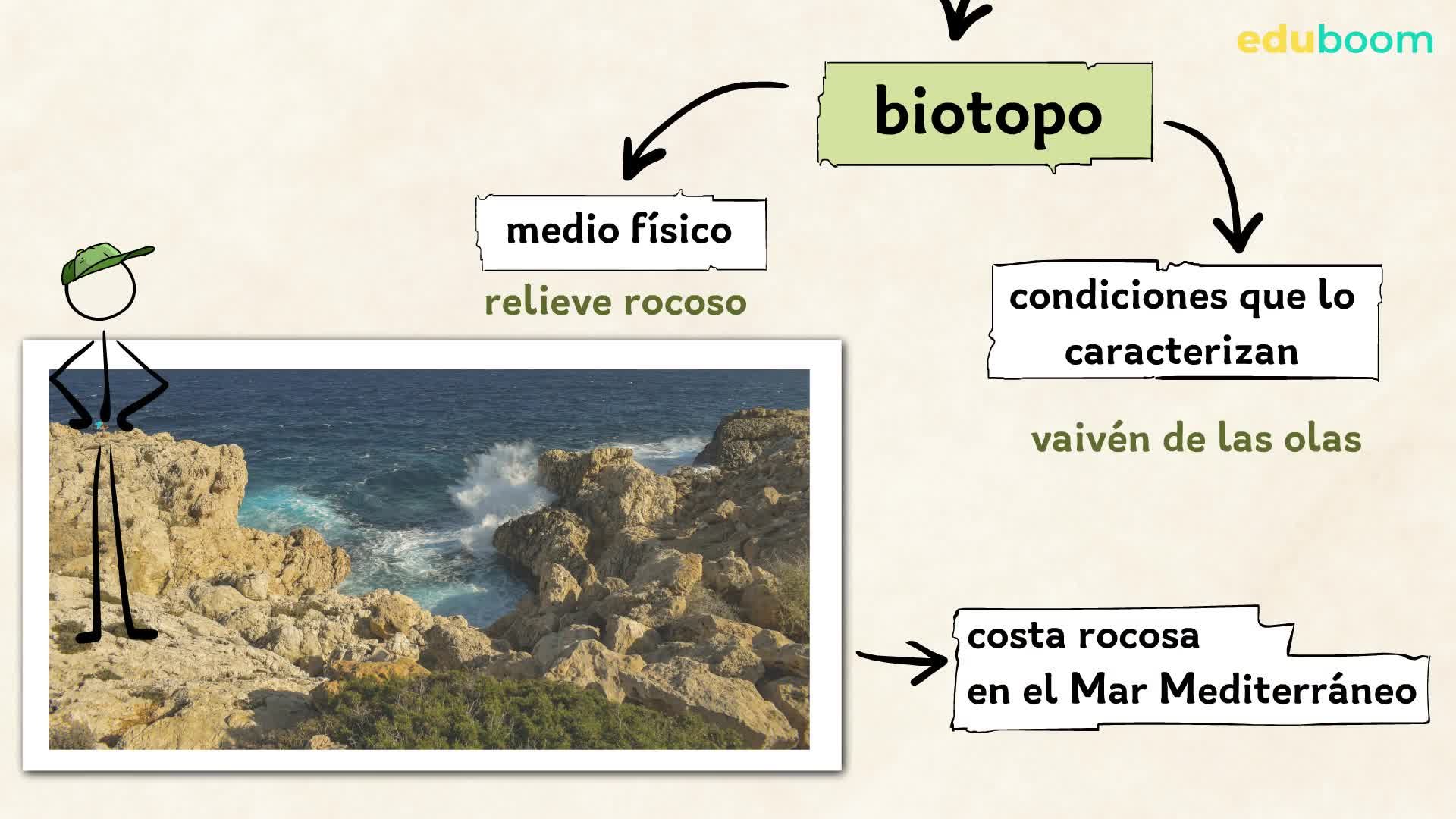 Los ecosistemas y sus componentes. Biologia 1 secundaria