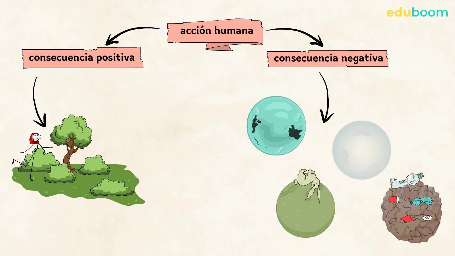 La acción humana en los ecosistemas. Biologia 3 secundaria