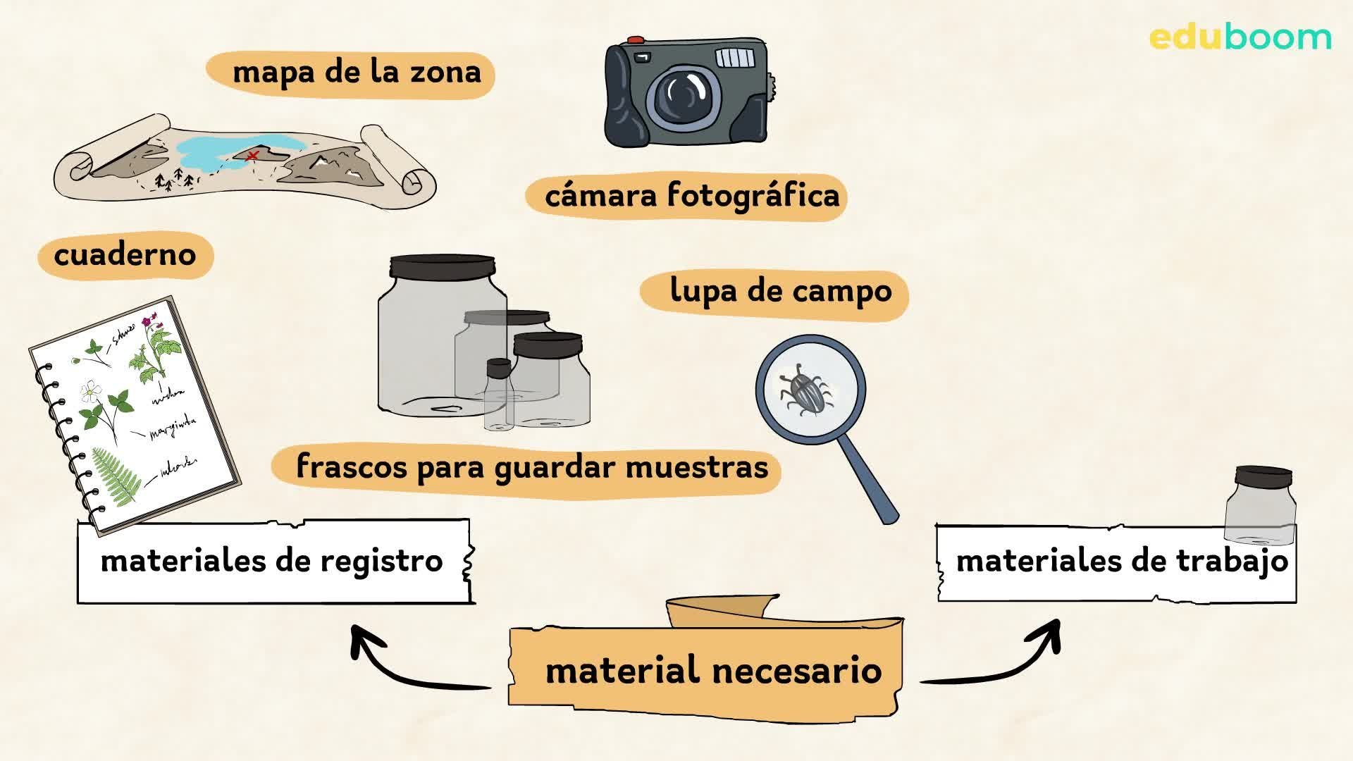 El trabajo de campo. Biología y Geología 3º Secundaria